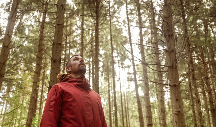 ̀_•́ ) Northwest Trolls: Way of the Bird King