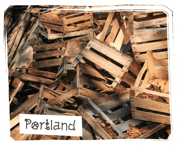 ̀_•́ ) Northwest Trolls: Way of the Bird King