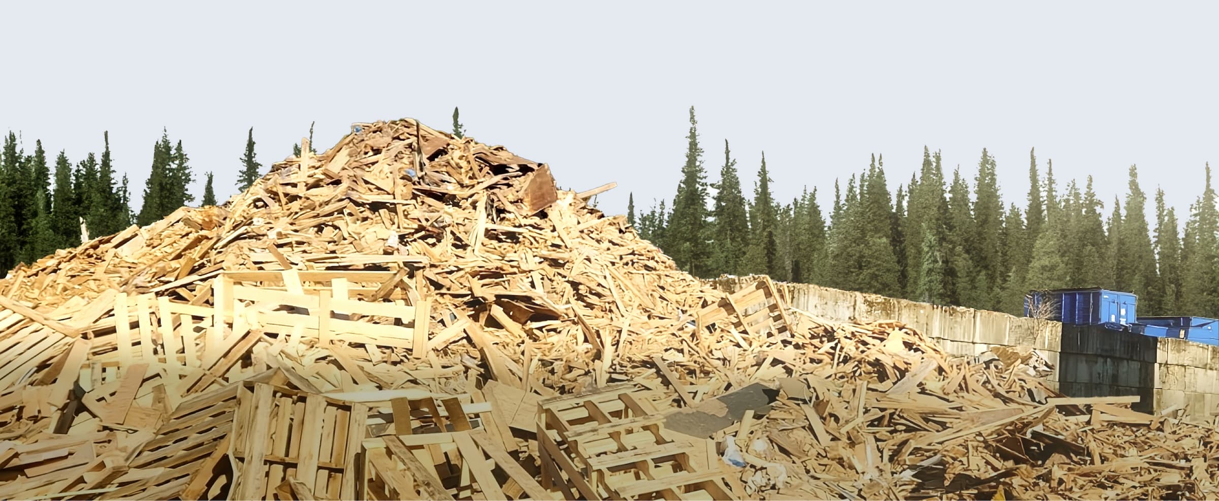 ̀_•́ ) Northwest Trolls: Way of the Bird King